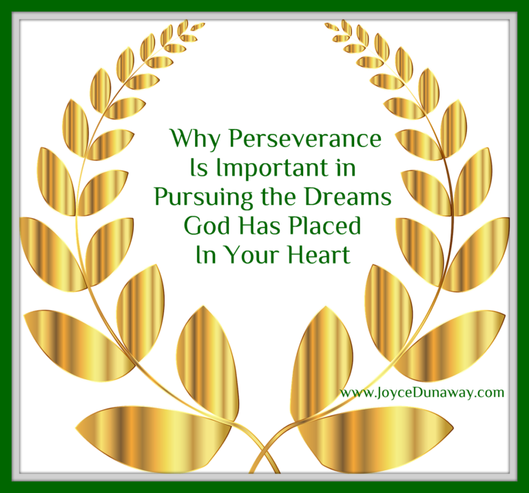 Why Perseverance Is Important in Pursuing the Dreams God Has Placed in ...